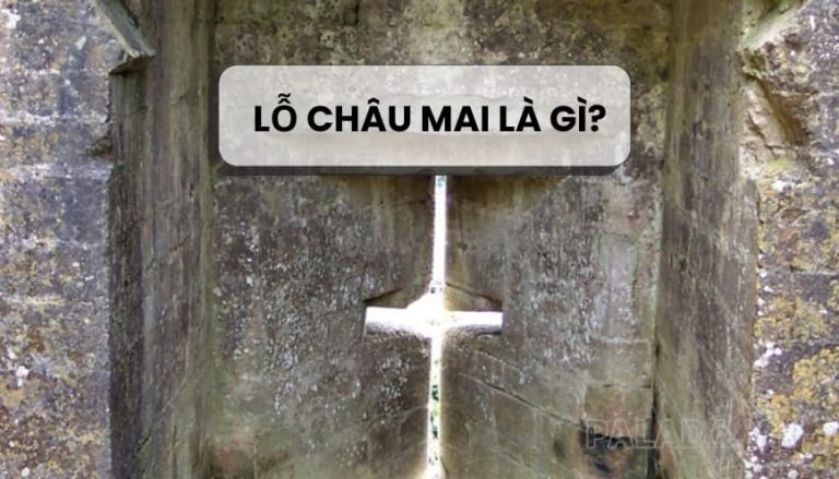 Lỗ châu mai là gì? Nguồn gốc và câu chuyện lịch sử phía sau